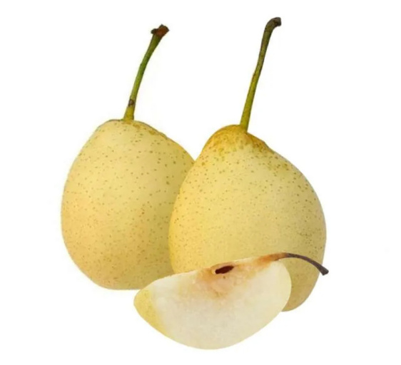 Pear Yalie: Buah Segar, Manis, dan Penuh Manfaat! » SuaraBojonegoro.com